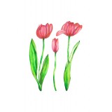 Lale Çoklu | Fine Art Print | Bitki İllüstrasyonu